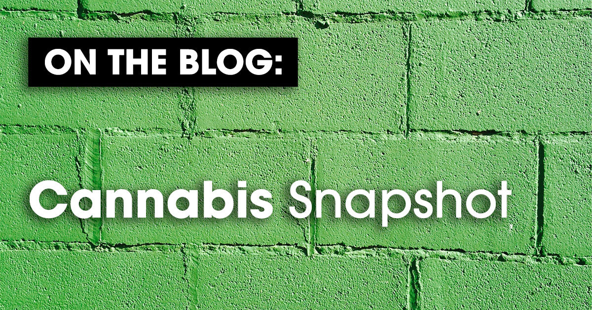 Cannabis Snapshot - District Hemp Botanicals